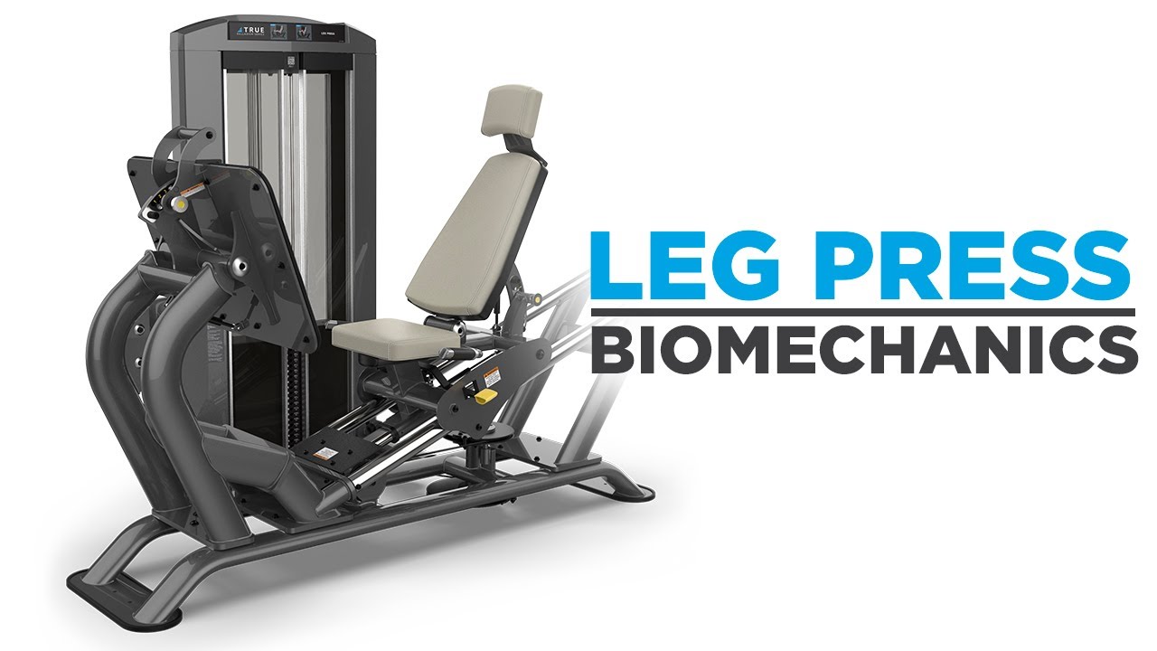 DESIGNING THE EXPERT GYM-BUILDING BLOCKS